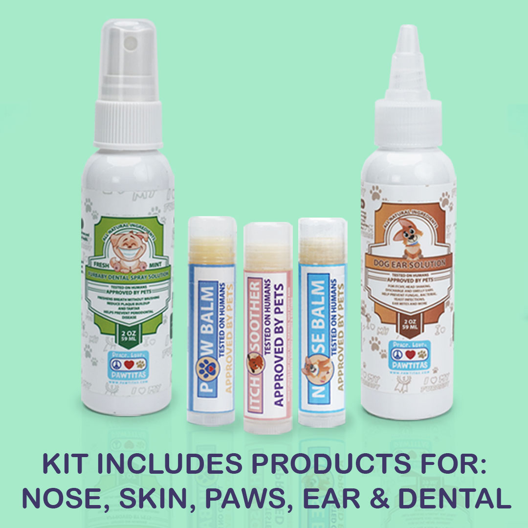 5-IN-1 Discovery Set – Pawtitas Store